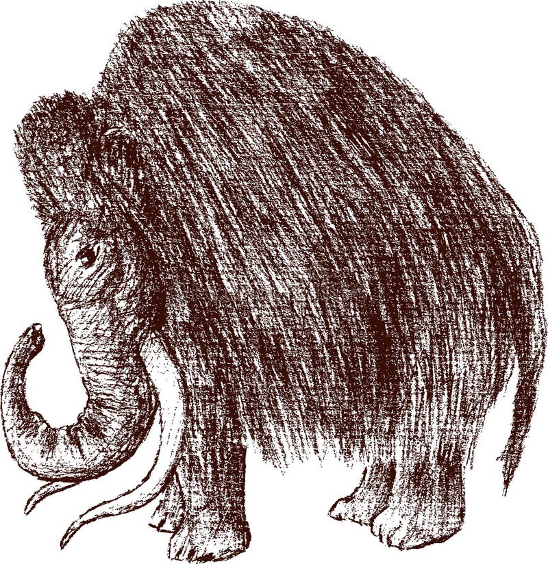 Mammoth Profile Head Black Vector Design Stock Vector - Illustration of ...