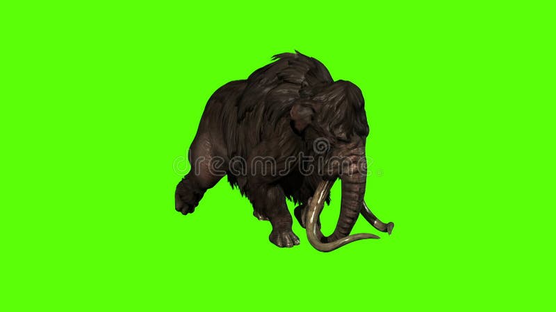 Mammoth Attacks Side on Green Screen Stock Footage - Video of animal ...