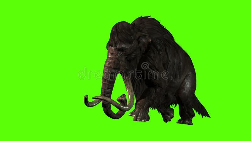 Mammoth Attacks Side on Green Screen Stock Footage - Video of animation ...
