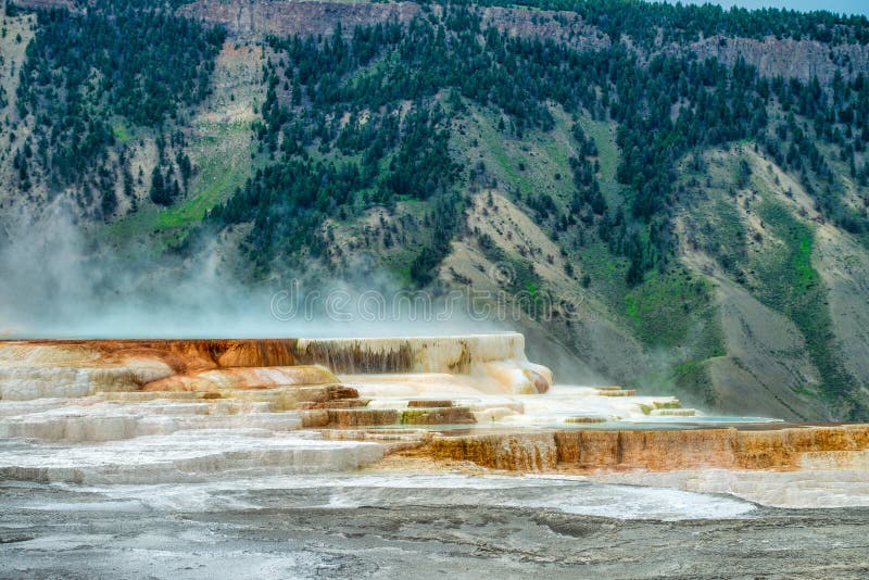 Mammoth Hot Springs, Yellowstone National Park Stock Photo - Image of ...