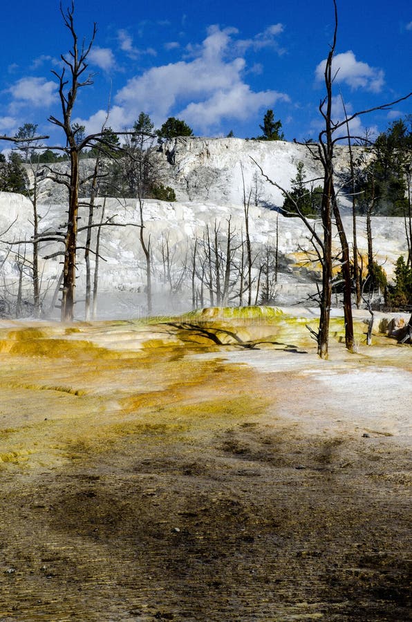Mammoth Hot Springs in Yellowstone Stock Image - Image of national ...