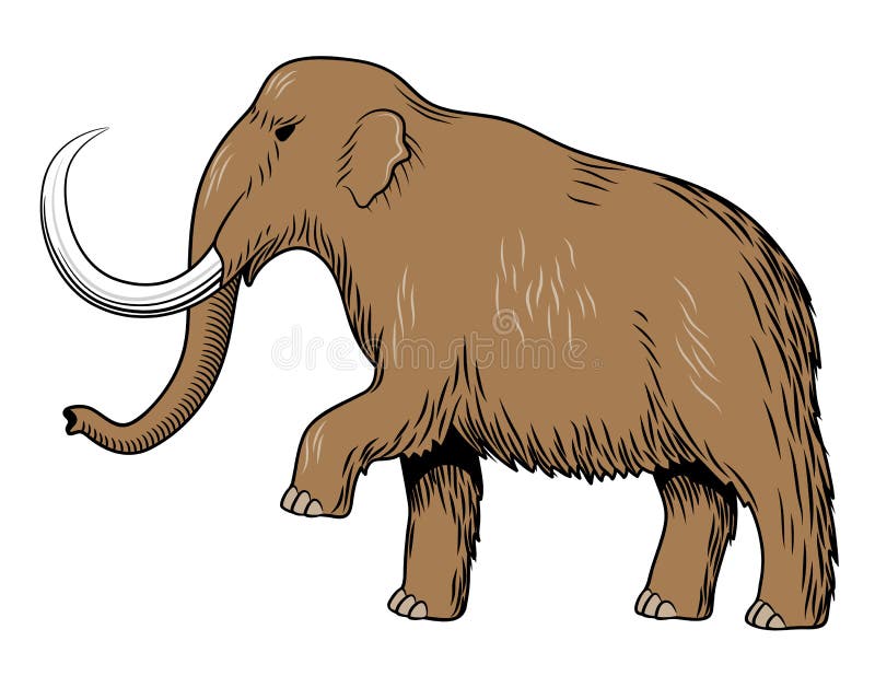 Mammoth Fossils Stock Illustrations – 271 Mammoth Fossils Stock ...
