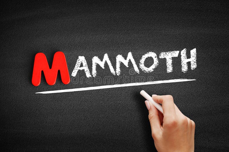 PICTURE text on blackboard stock image. Image of advertising - 198534747