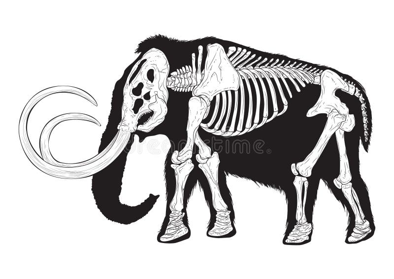Mammoth. Vector Illustration Decorative Design Stock Vector ...