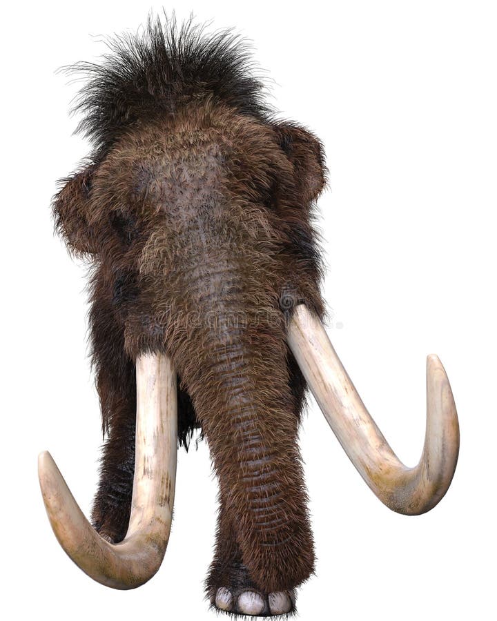 Mammoth in a White Background Stock Illustration - Illustration of ...