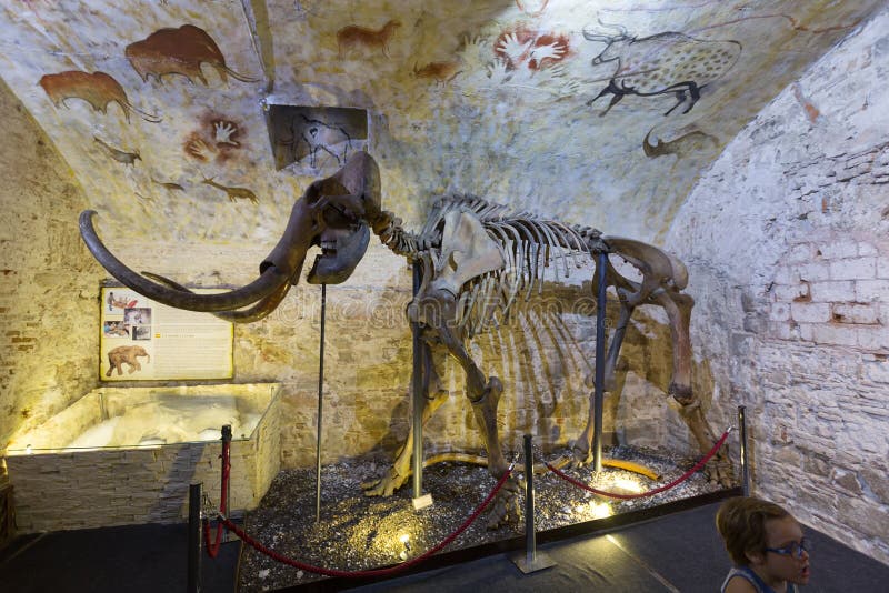 Mammutskelett Im Barcelona-Mammut-Museum Redaktionelles Stockfotografie ...