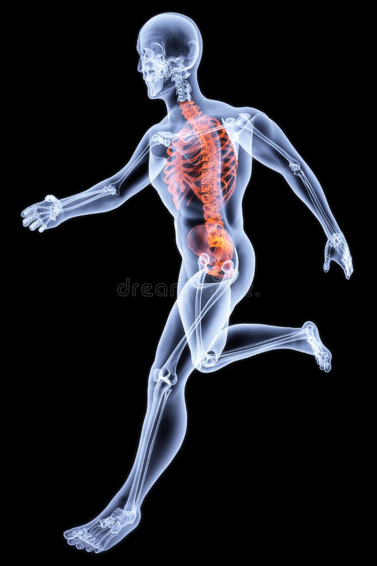 Human Agility Speed Training Stock Illustrations – 45 Human Agility ...