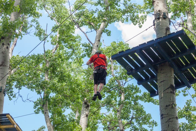 Man in Adventure Park on Tree Top Stock Photo - Image of obstacle ...
