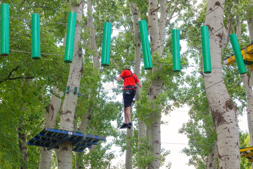 Man in Adventure Park on Tree Top Stock Photo - Image of climb ...