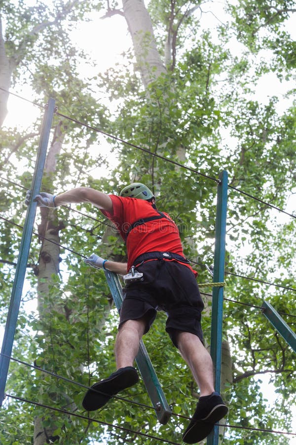 Man in Adventure Park on Tree Top Stock Image - Image of skill, high ...