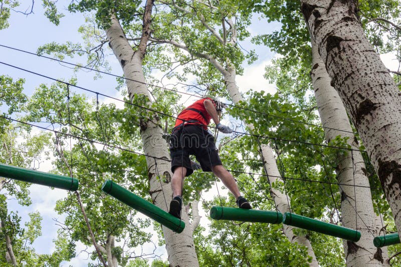 Man in Adventure Park on Tree Top Stock Image - Image of safety ...