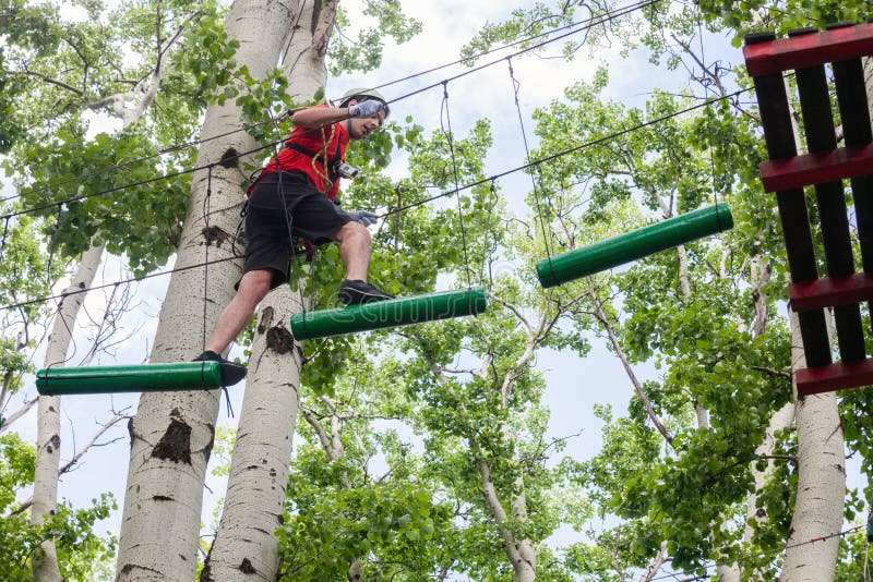 Man in Adventure Park on Tree Top Stock Photo - Image of rope, freedom ...