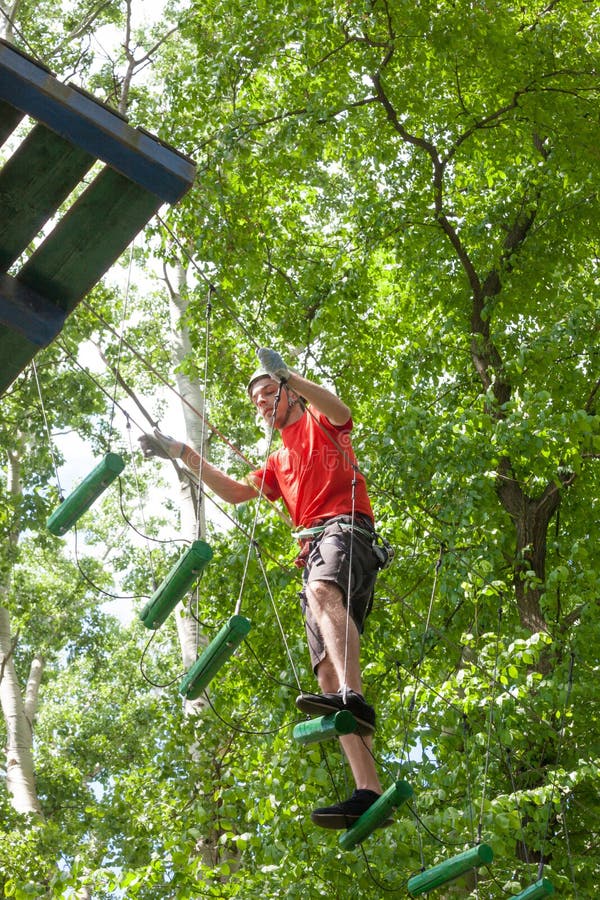 Man in Adventure Park on Tree Top Stock Image - Image of forest, play ...