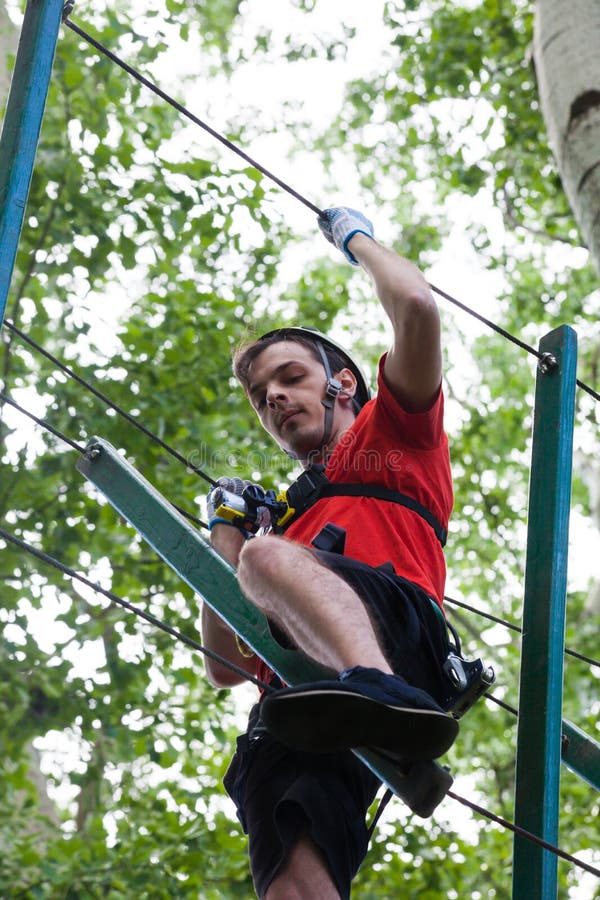 Man in Adventure Park on Tree Top Stock Photo - Image of obstacle ...