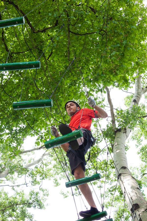Man in Adventure Park on Tree Top Stock Photo - Image of forest ...