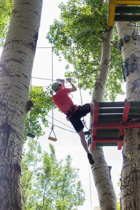 Man in Adventure Park on Tree Top Stock Image - Image of challenge ...