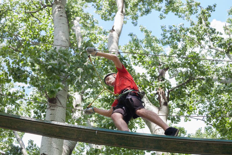 Man in Adventure Park on Tree Top Stock Photo - Image of play, height ...