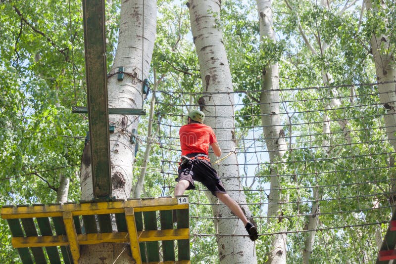 Man in Adventure Park on Tree Top Stock Image - Image of activity ...