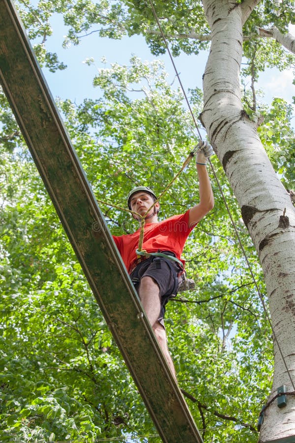 Man in Adventure Park on Tree Top Stock Image - Image of skill, helmet ...