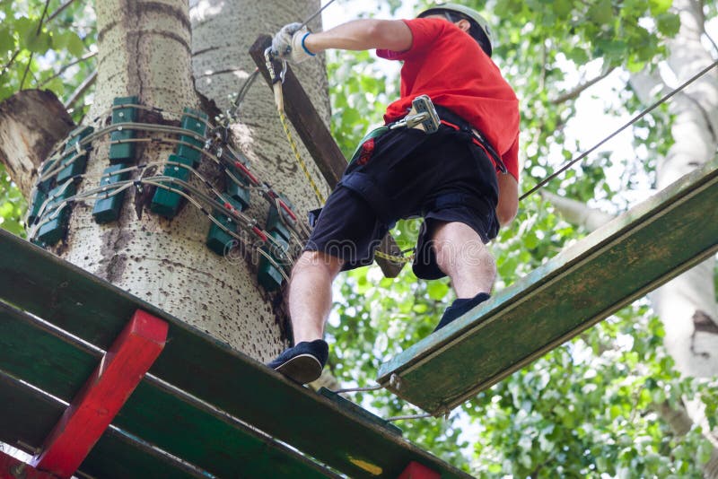 Man in Adventure Park on Tree Top Stock Photo - Image of person, ropes ...