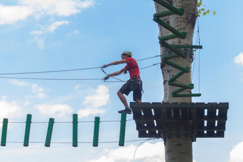 1,282 Man Adventure Park Tree Top Stock Photos - Free & Royalty-Free ...