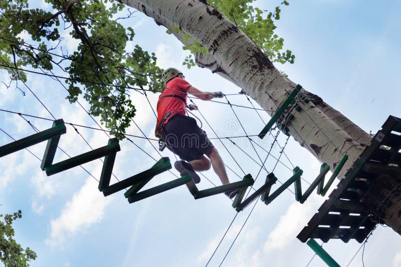 Man in Adventure Park on Tree Top Stock Image - Image of challenge ...