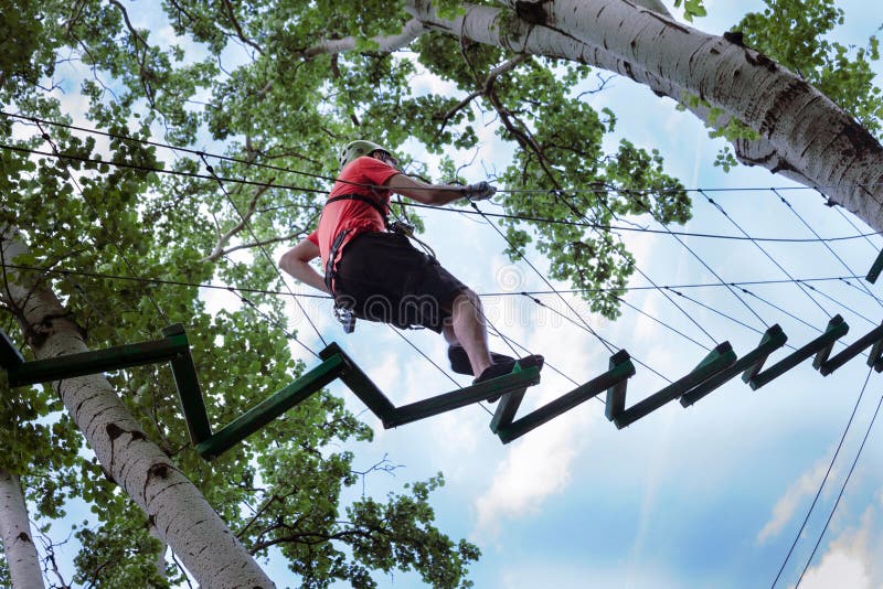 Man in Adventure Park on Tree Top Stock Photo - Image of line, play ...