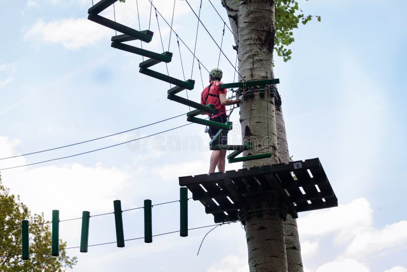 Man in Adventure Park on Tree Top Stock Photo - Image of skill ...