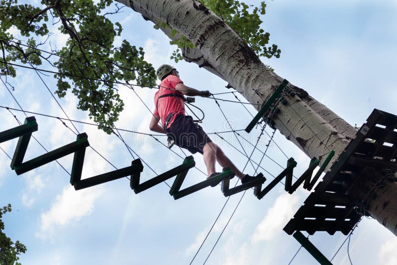 Man in Adventure Park on Tree Top Stock Image - Image of freedom, brave ...