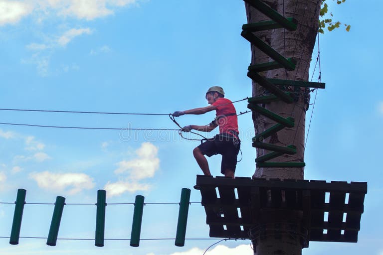 Man in Adventure Park on Tree Top Stock Photo - Image of activity, high ...