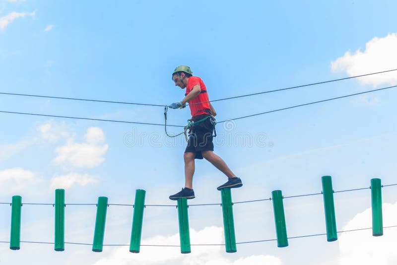 Man in Adventure Park on Tree Top Stock Image - Image of skill ...