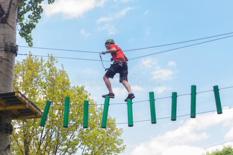 Man in Adventure Park on Tree Top Stock Image - Image of freedom ...