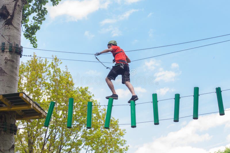 Man in Adventure Park on Tree Top Stock Photo - Image of forest ...