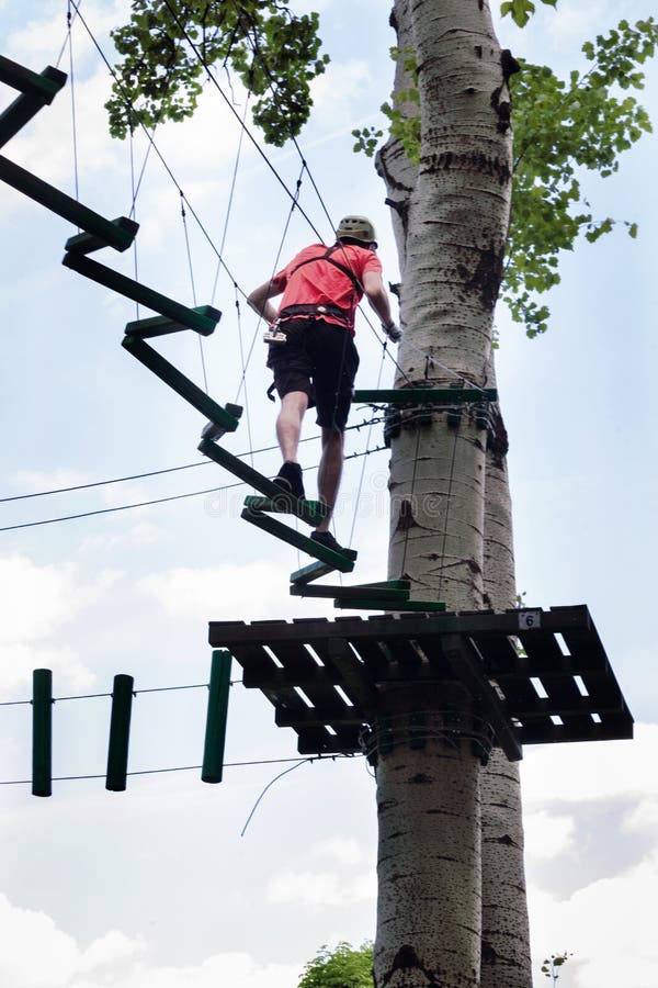 Man in Adventure Park on Tree Top Stock Photo - Image of park, nature ...