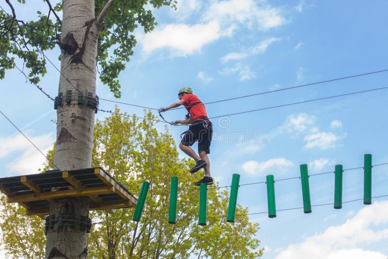 Man in Adventure Park on Tree Top Stock Photo - Image of freedom ...