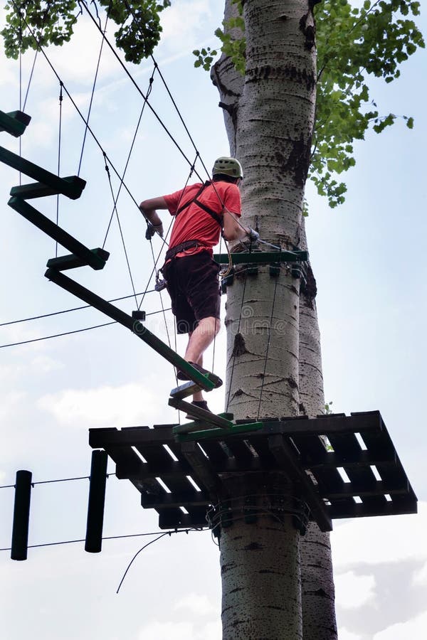Man in Adventure Park on Tree Top Stock Photo - Image of climb, rope ...
