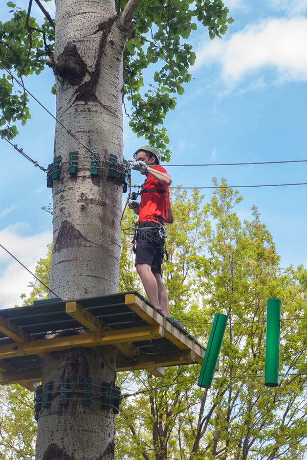 Man in Adventure Park on Tree Top Stock Photo - Image of play, skill ...