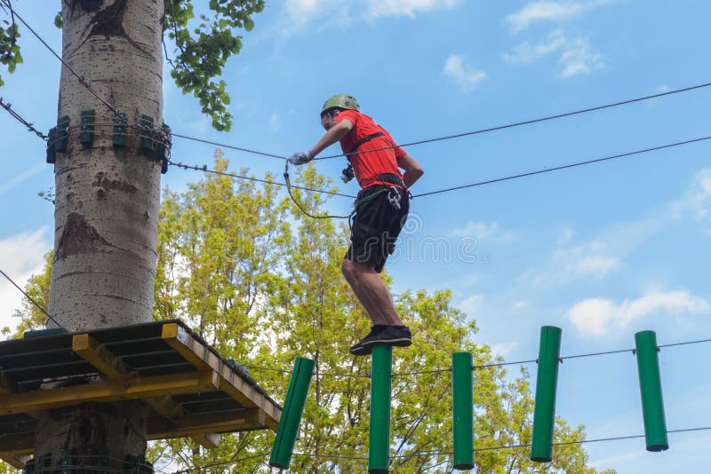 Man in Adventure Park on Tree Top Stock Photo - Image of action, ropes ...
