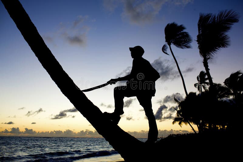 Man Against the Setting Sun Stock Image - Image of beach, dominicana ...