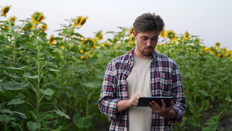 Man Agronomist Farmer with a Digital Tablet Computer Standing in ...