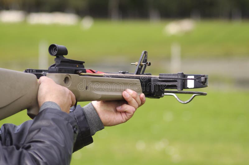 Man Aiming Crossbow at Targets Stock Image - Image of field, male: 27946097