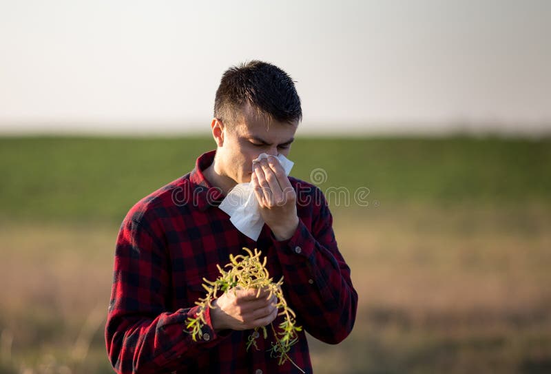 Man with allergy on pollen stock image. Image of allergen - 148041487