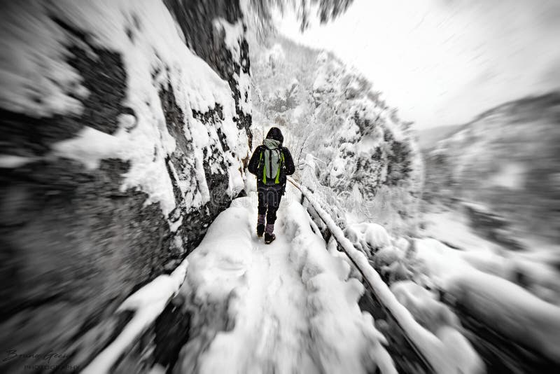 Alone in snow stock photo. Image of rocks, forest, alone - 111518658