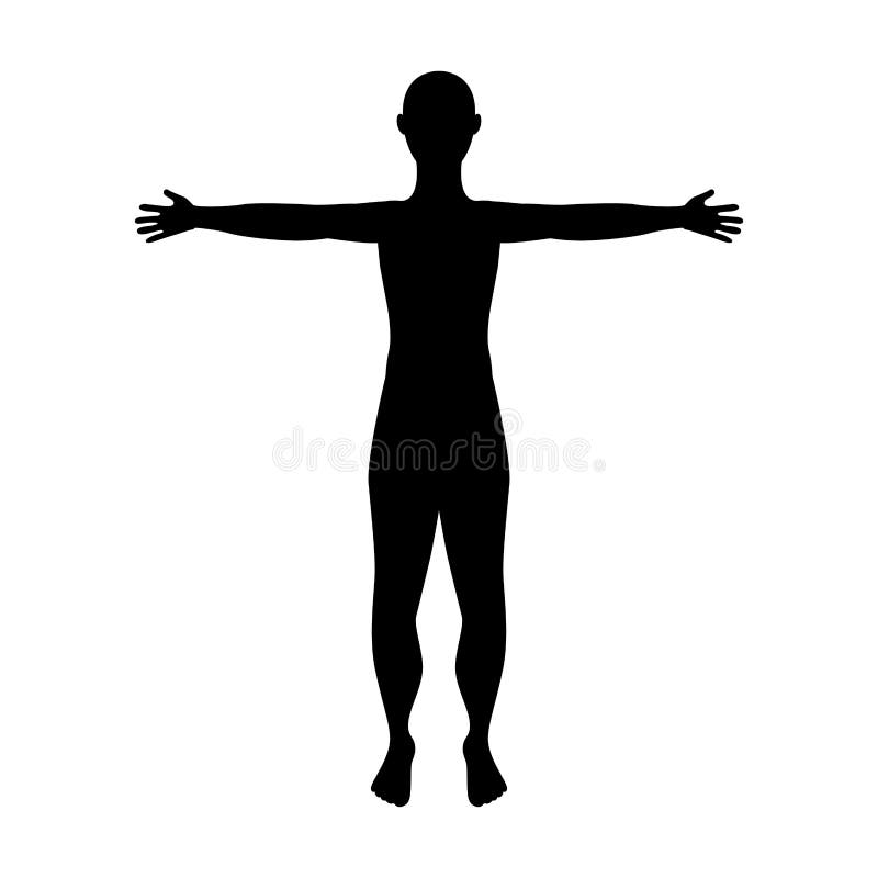 Man Anatomy Silhouette Isolated Icon Stock Vector - Illustration of ...