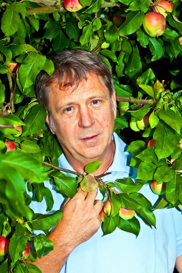 Man in apple tree stock photo. Image of color, background - 20498756