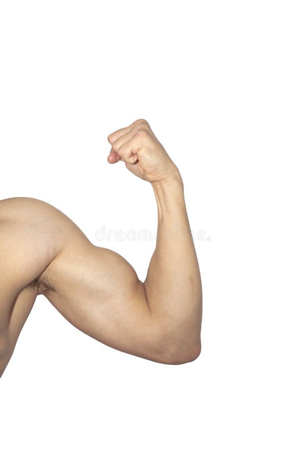 Man arm muscle stock image. Image of isolated, bodybuilding - 40096855