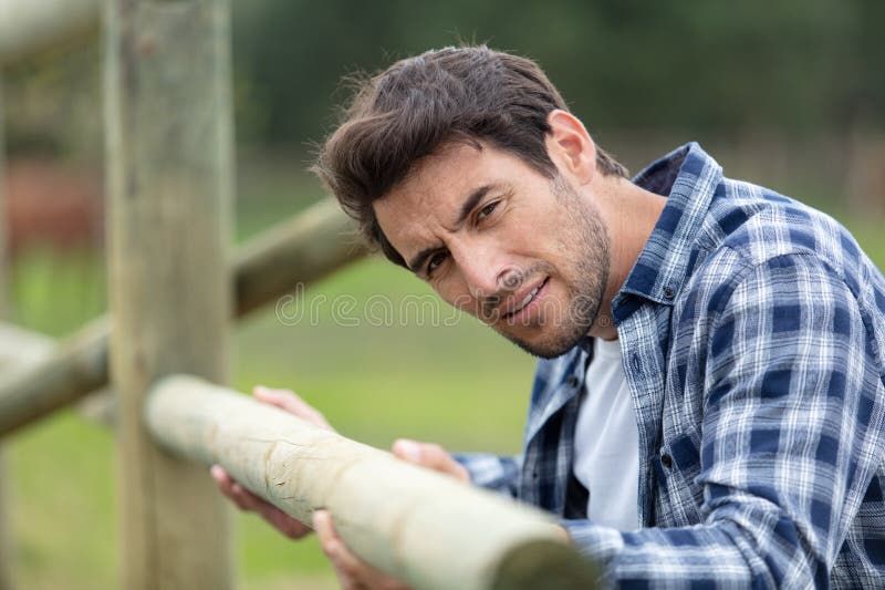 Man Assembling Wood Fence in Ranch Stock Photo - Image of clinch, bare ...