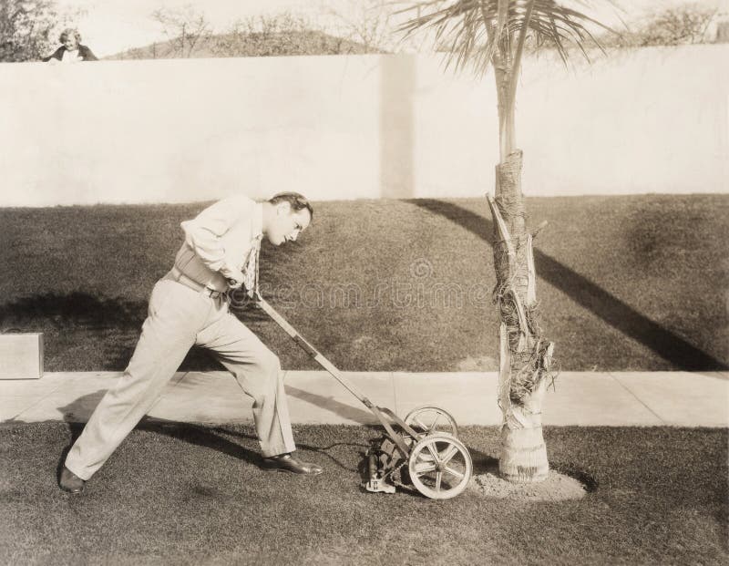 Man Attacking Palm Tree with Lawn Mower Stock Photo - Image of chores ...