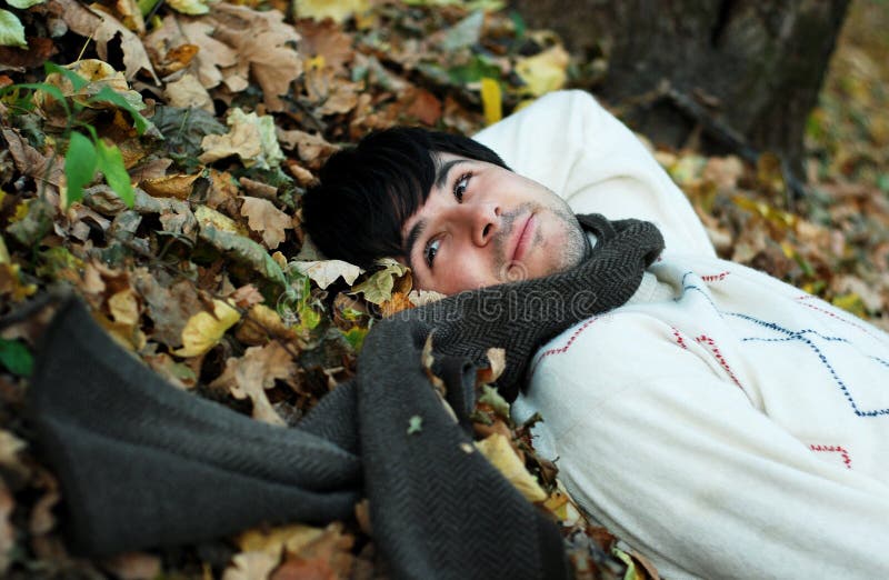 Man on autumn leaves stock photo. Image of forest, adult - 11471854
