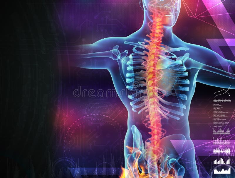 Backbone Stock Illustrations – 10,739 Backbone Stock Illustrations ...